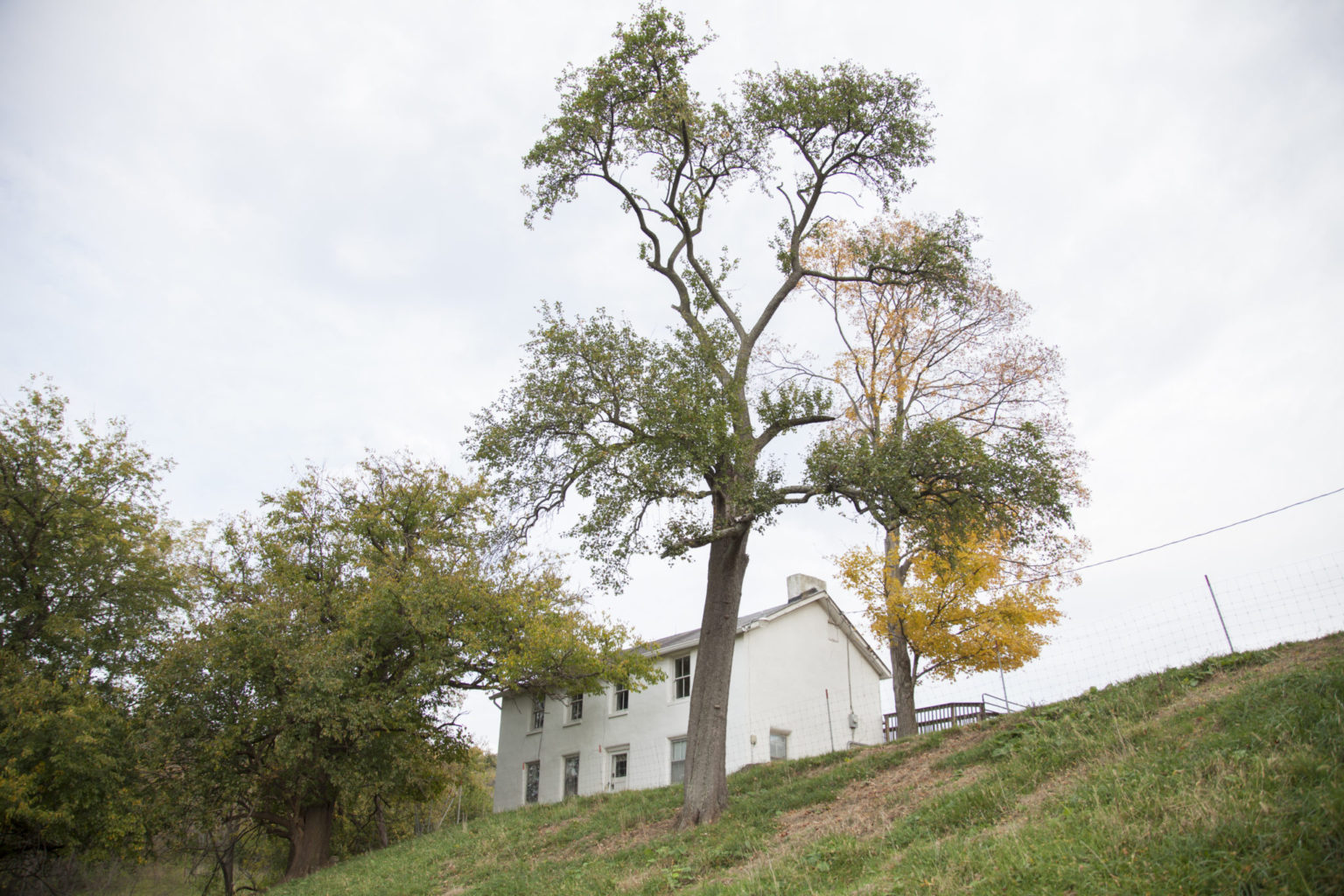 Map and Info – Gorman Heritage Farm